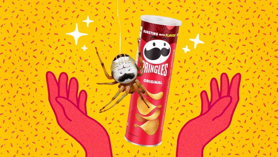 Pringles Wants to Rename Spider That Looks Like Its Logo