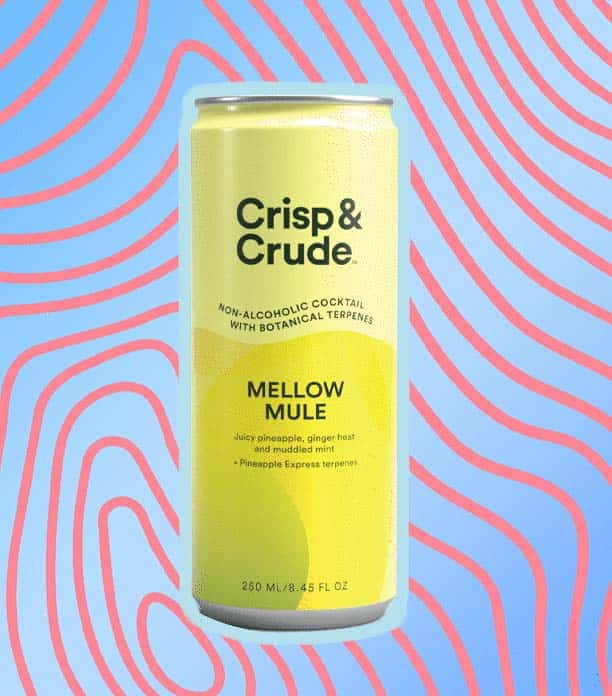 Best Canned Mocktails: 14 Best Non-Alcoholic Cocktails [Taste Test]