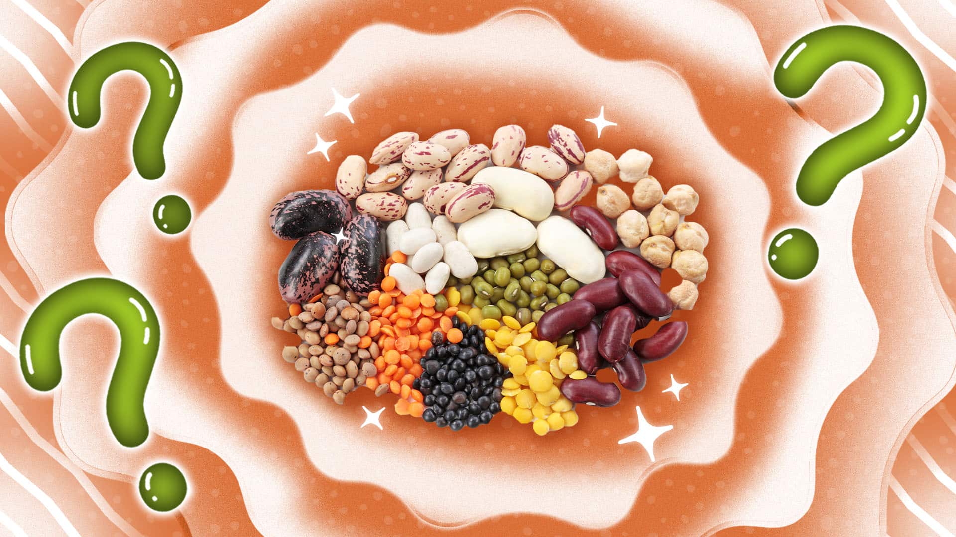 What Are Legumes—and What Aren’t Legumes? | Sporked