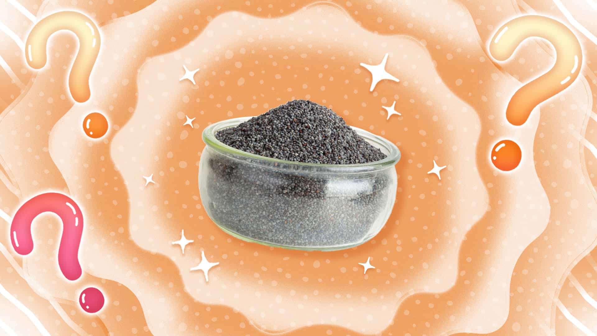 What Are Poppy Seeds and Where Do They Come From? | Sporked