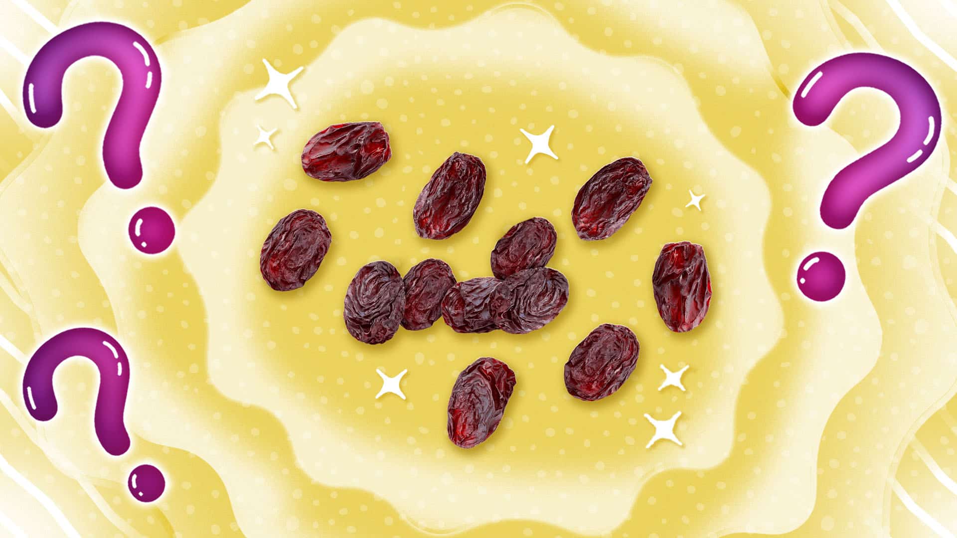 What Are Raisins, Actually? | Sporked