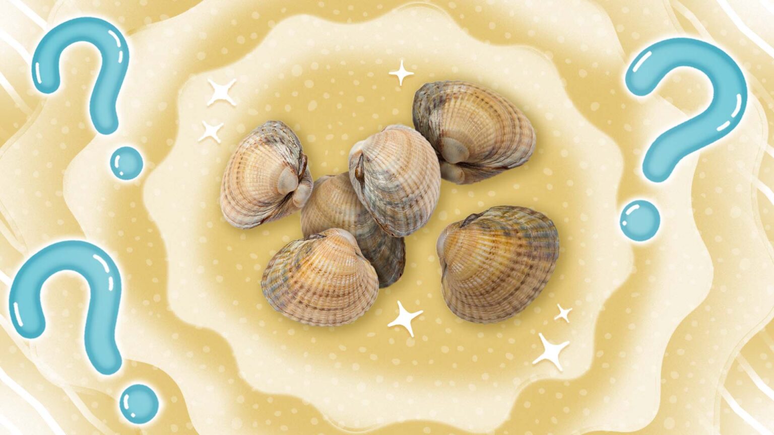 What Are Cockles, Actually? The Other Mollusk | Sporked