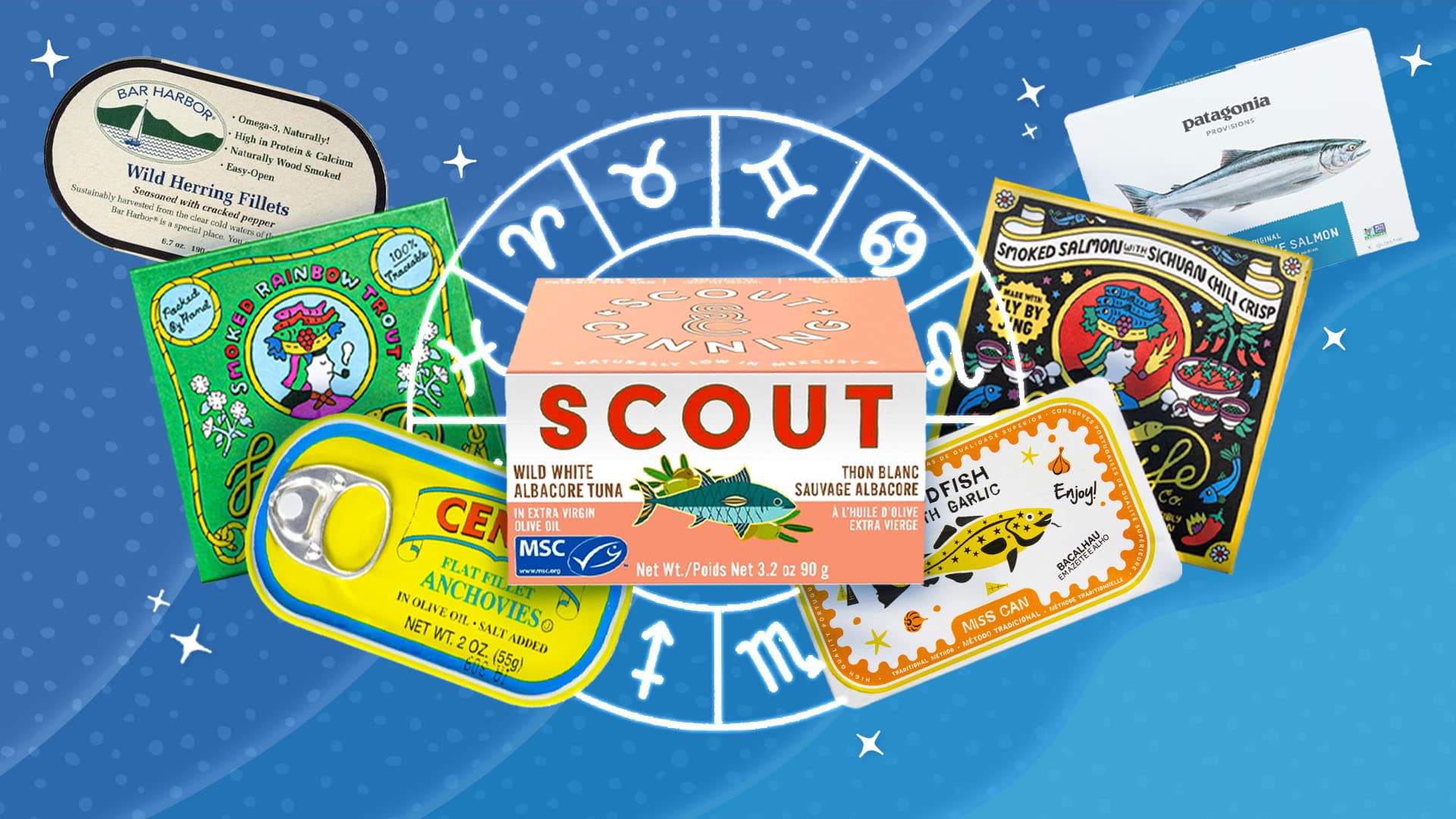 Zodiac Badge Scouts